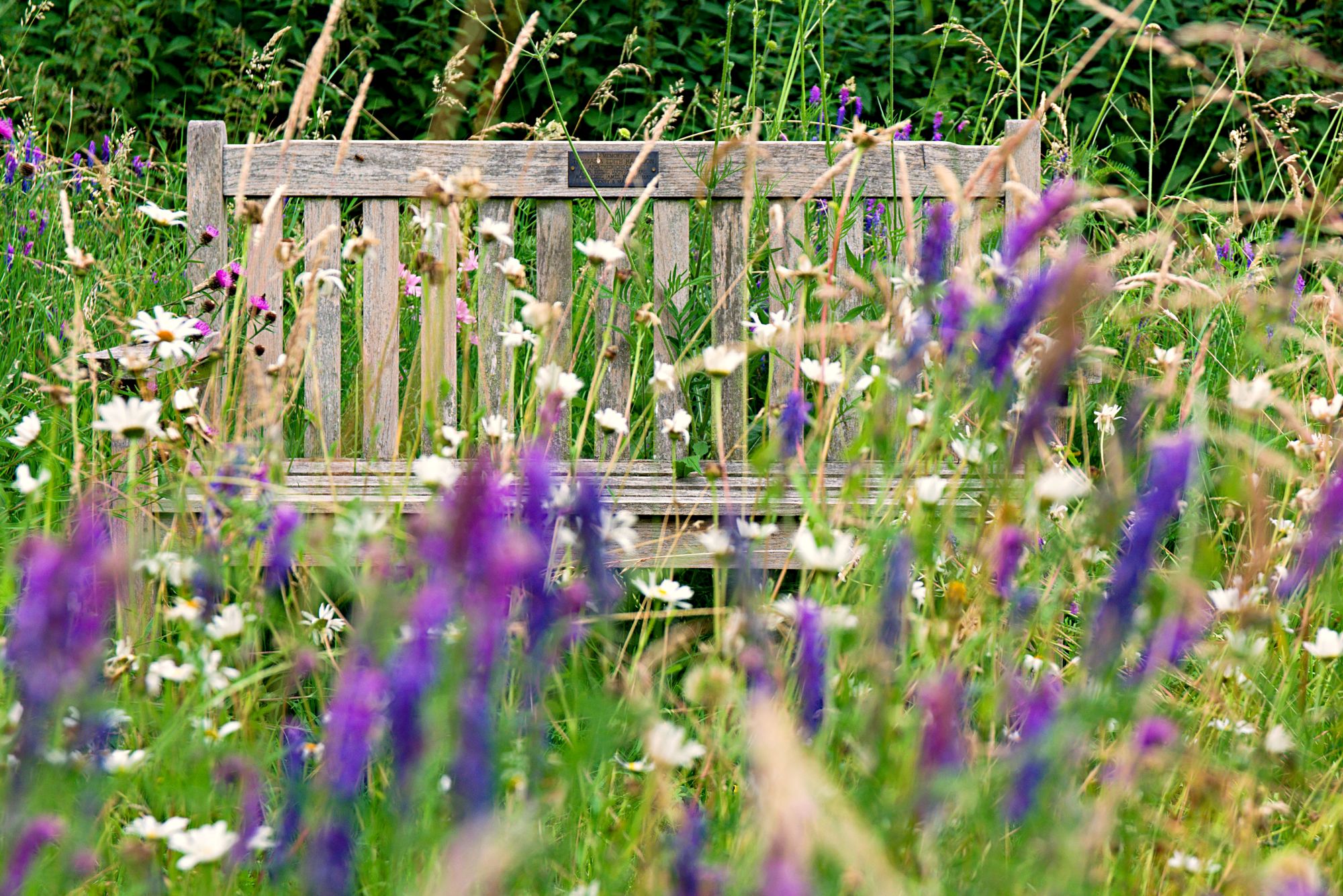 What Damages Can Be Recovered in a Virginia Wrongful Death Case ...